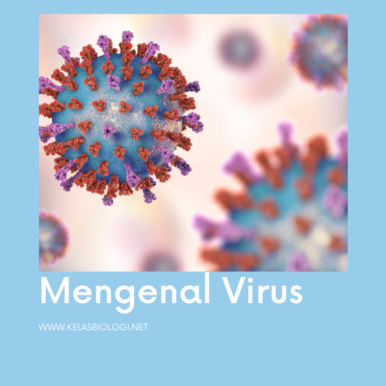 Pengertian Virus, Karakteristik, Struktur Tubuh dan Jenisnya
